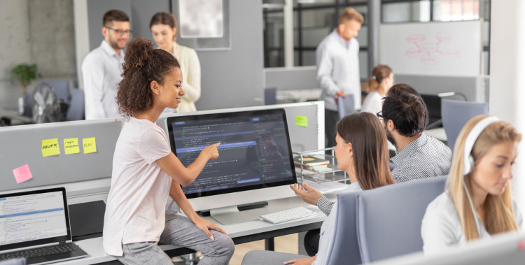 Comparing Two Key Careers: Software Developer vs. Programmer ...