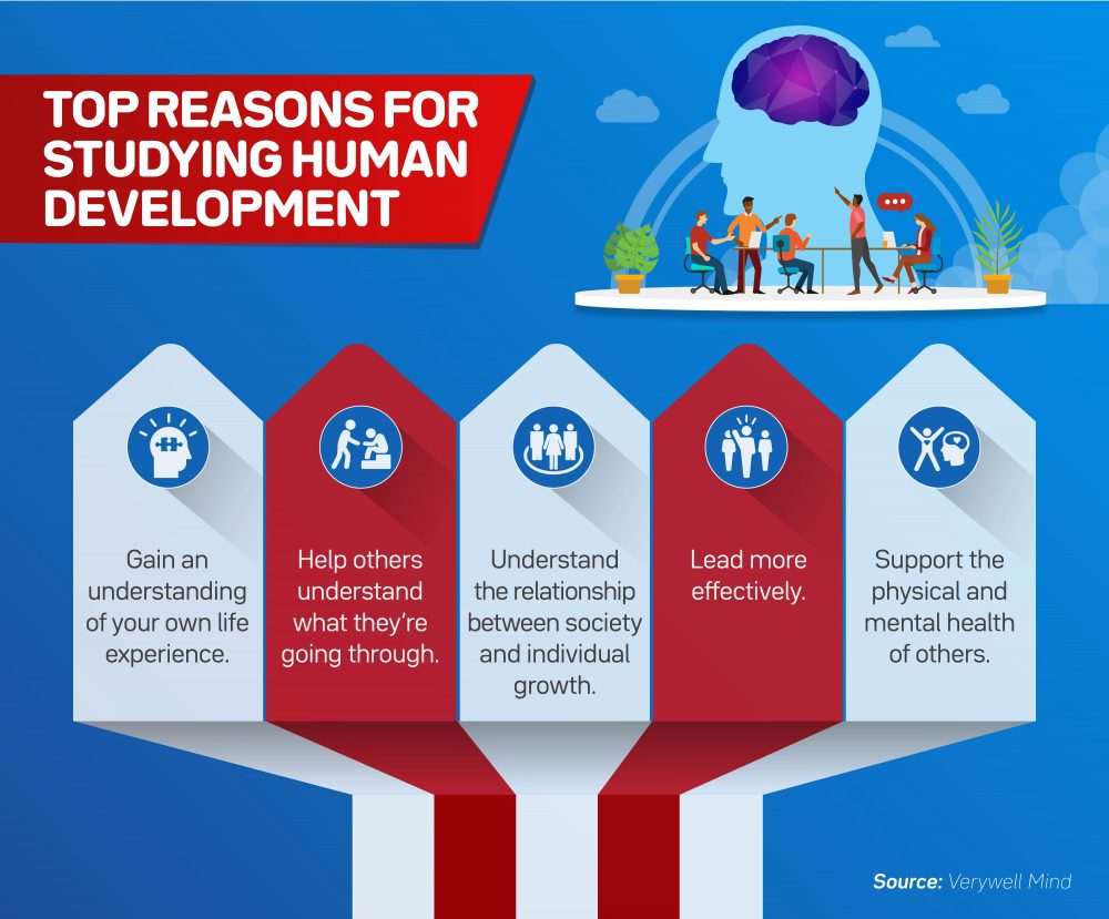 Stages of Human Development: What It Is & Why It's Important ...